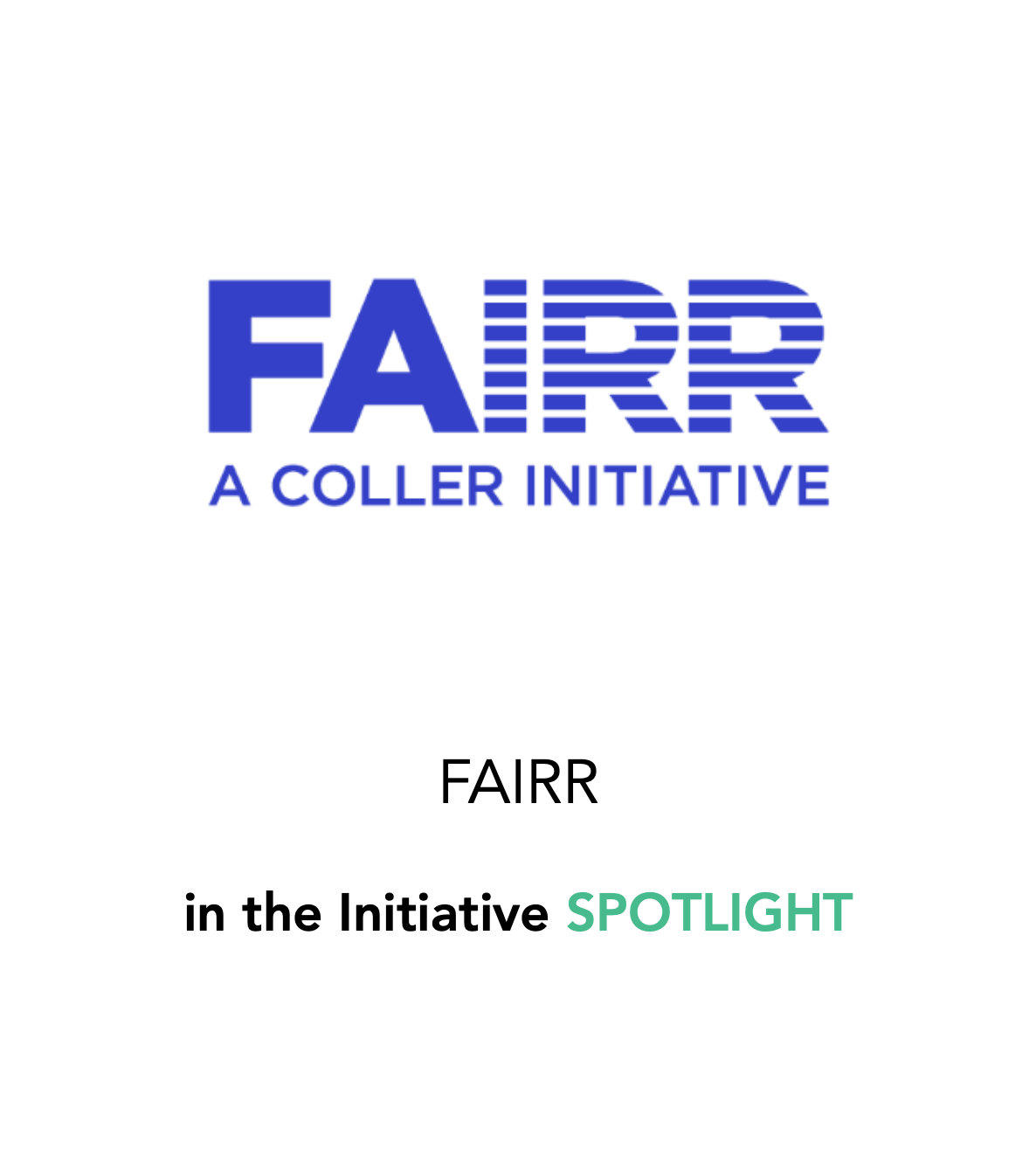 FAIRR in the Spotlight – 116.203.153.220
