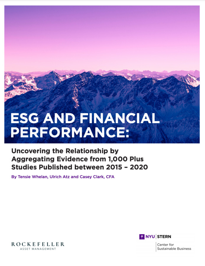 ESG AND FINANCIAL PERFORMANCE: Uncovering the Relationship by ...