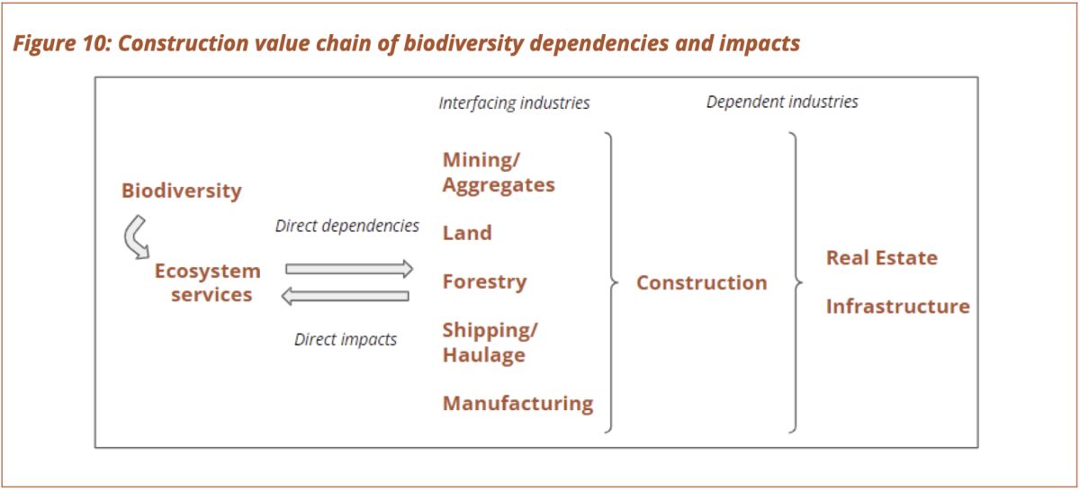Time is now - biodiversity risks and opportunities explained | The ...