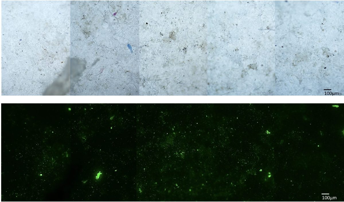 Recycling has the potential to increase exposure to microplastic ...