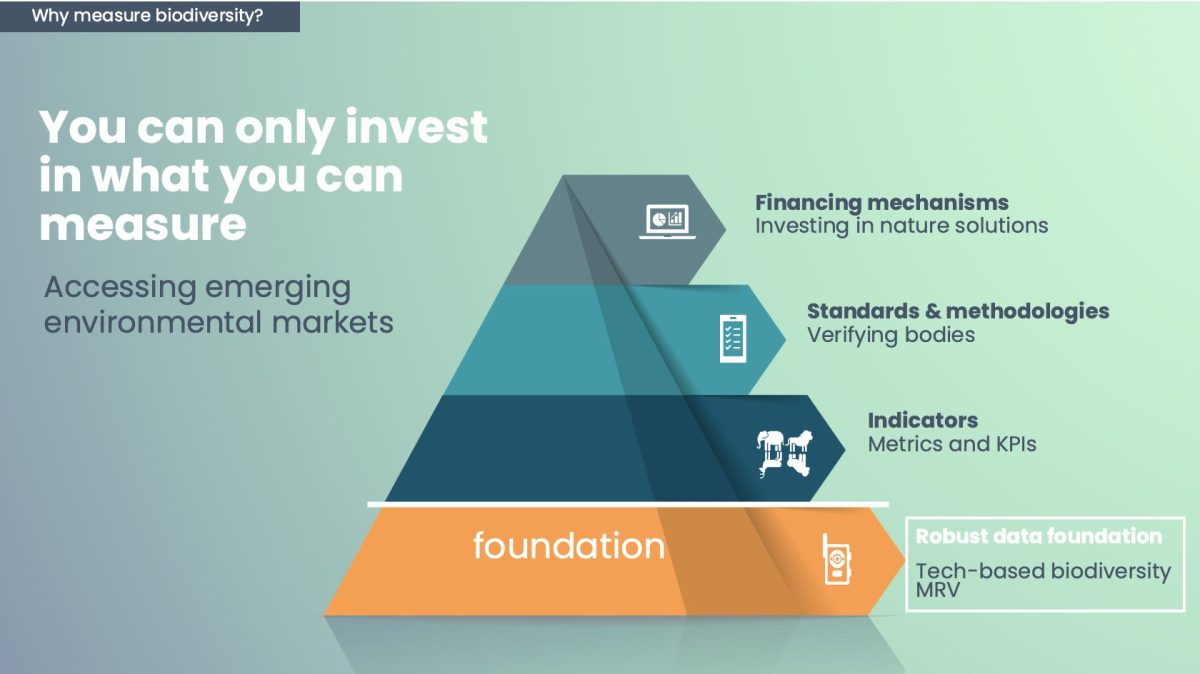 Private Capital Meets Nature: Biodiversity markets are shaping up in ...